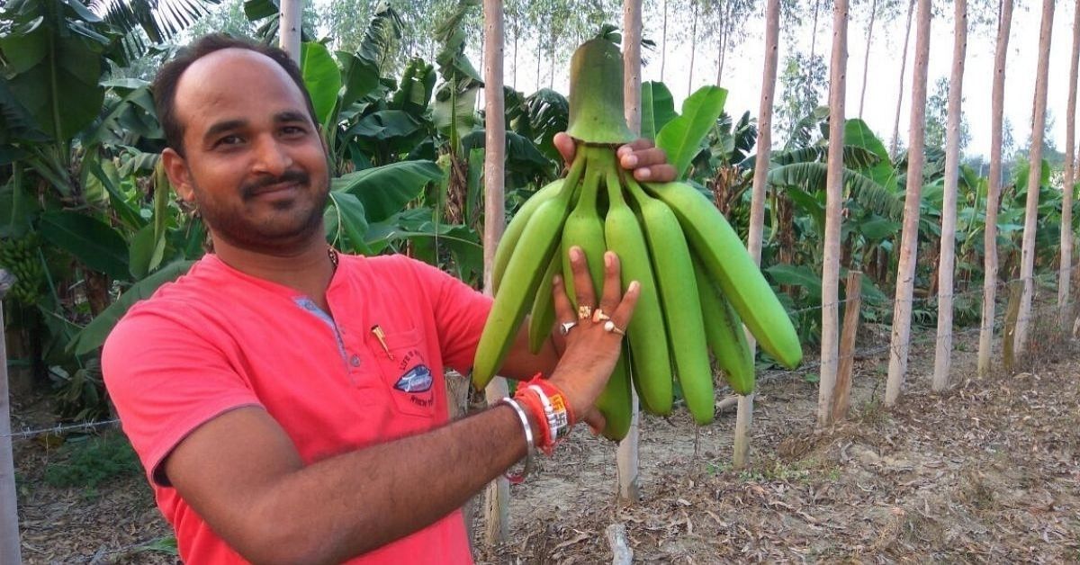 Teacher Doing Part-time Farming And Earned 1 Crore In A Year