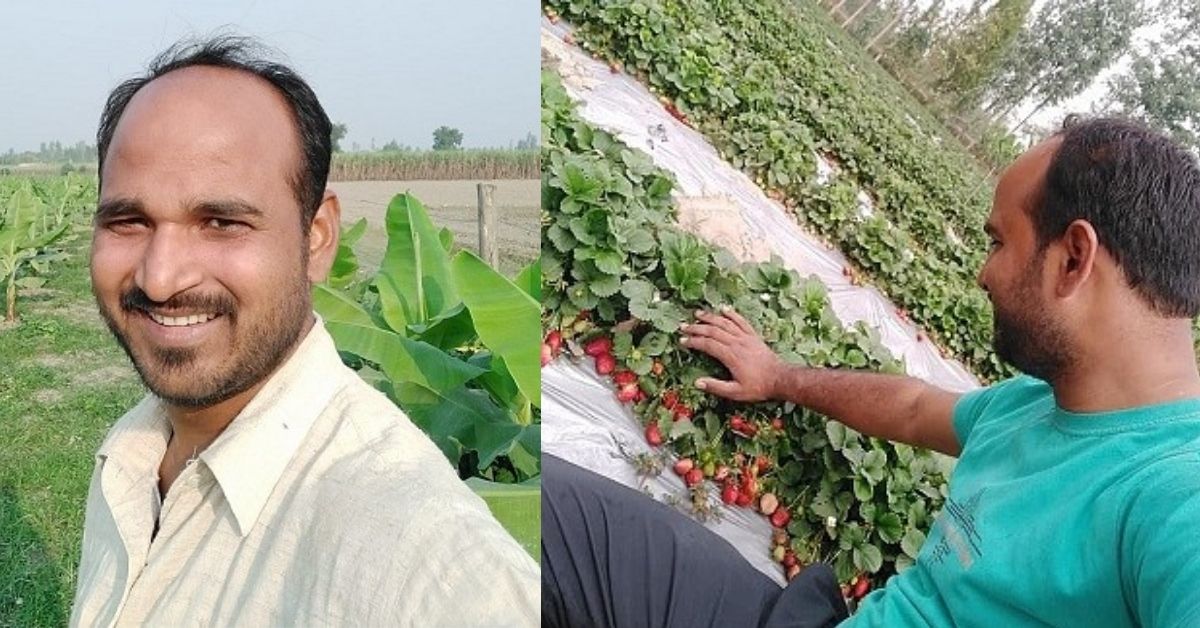 Teacher Doing Part-time Farming And Earned 1 Crore In A Year