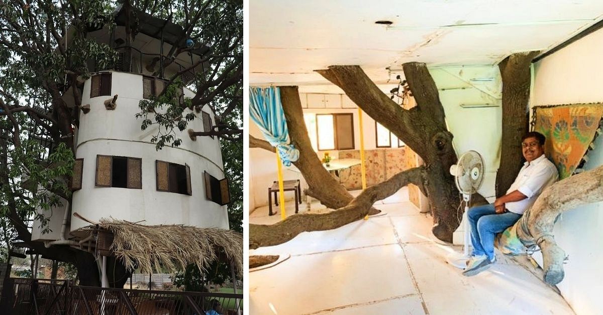 Tree House Built By KP Singh Made On Mango Tree With 3 Floor