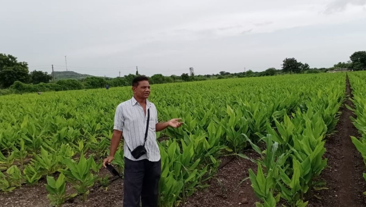 How To Increase Farm Income By Organic Farming Processing Jamnagar