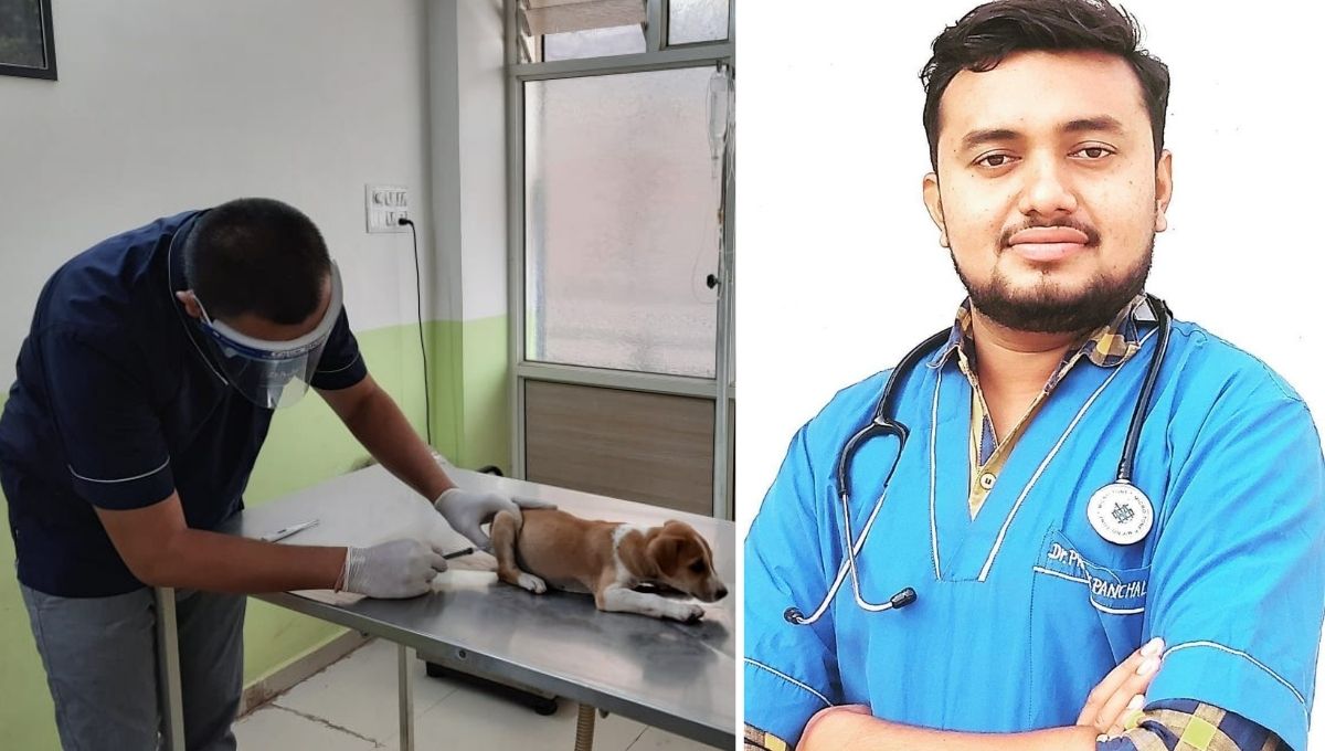 Free Veterinary Clinic By Palanpur Doctor For Strays Birds