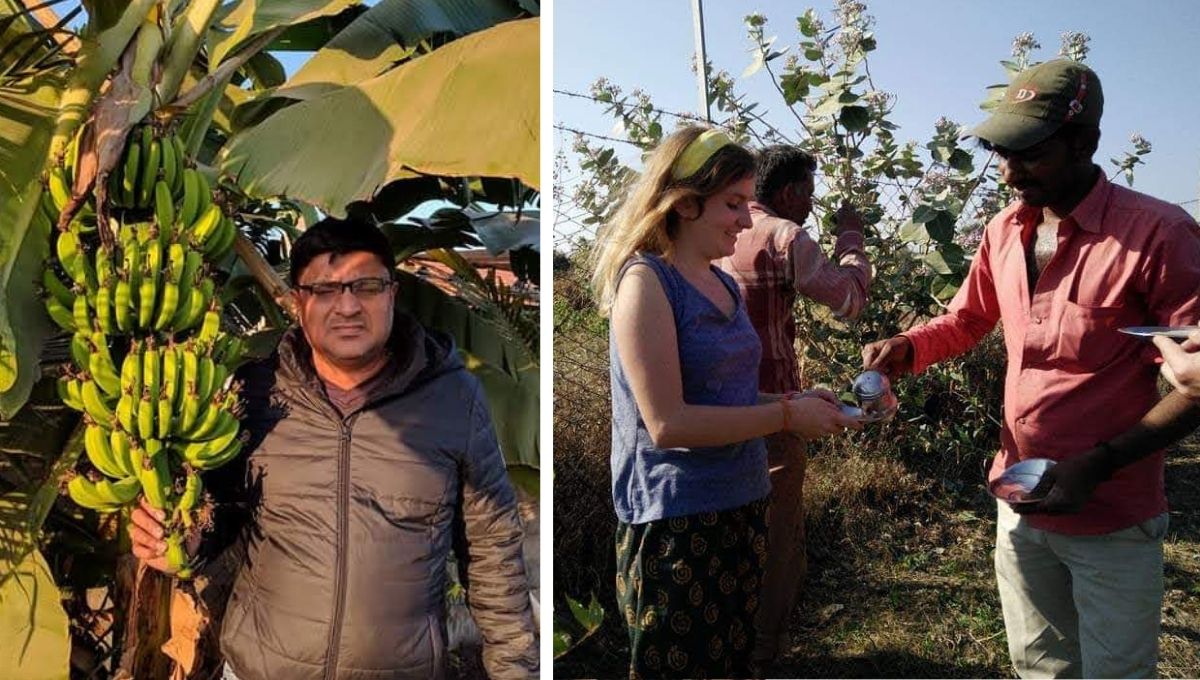 Farm Tourism In Bhavnagar Vashishth Farm Organic Farming